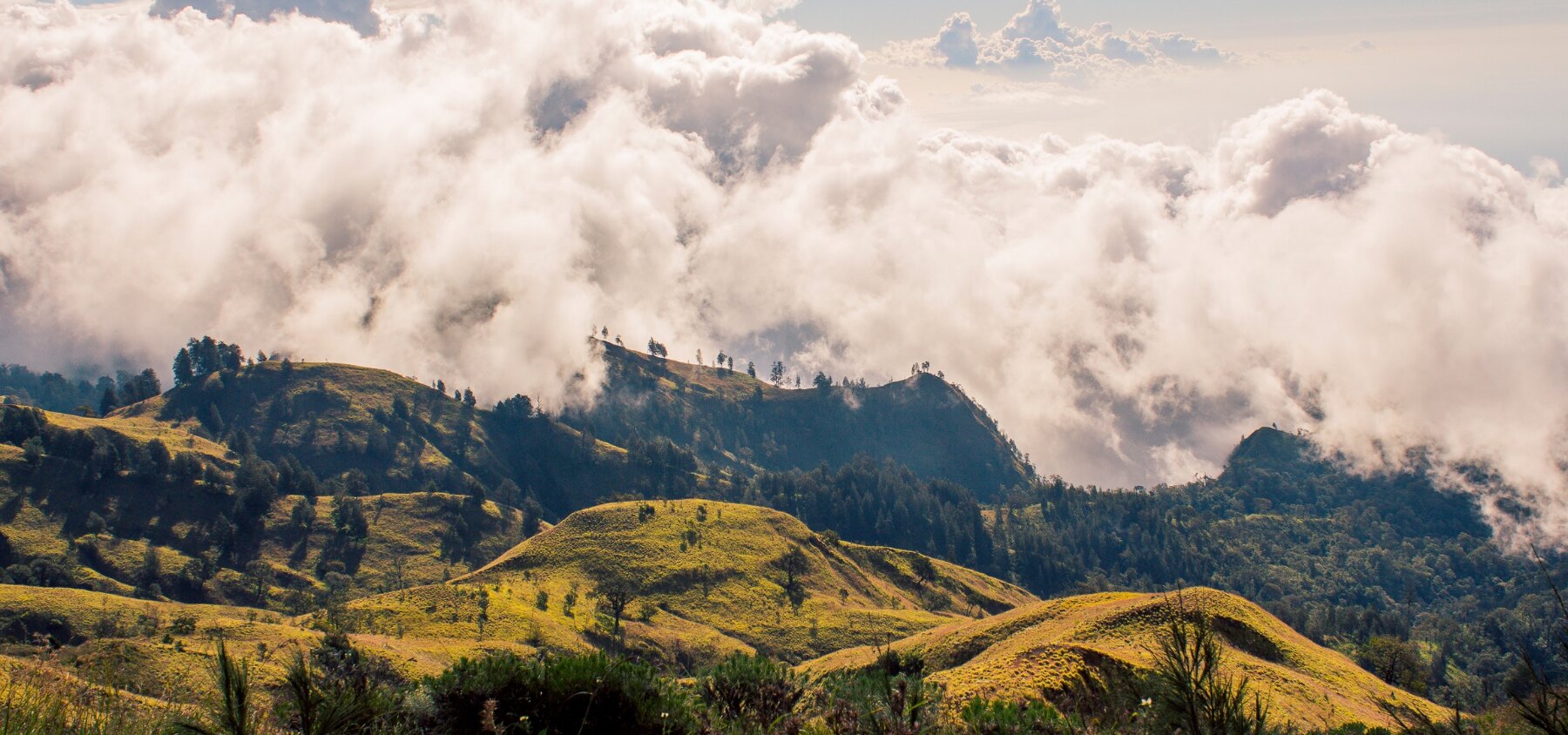 Lombok volcano Trekking- Lombokvolcano.com